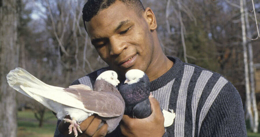 27 Mike Tyson Facts That Reveal The Boxer's Wild Life