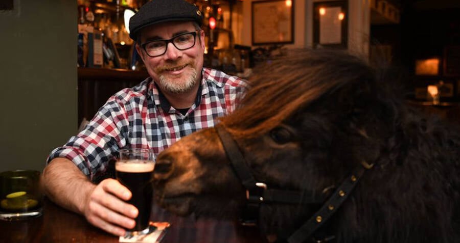 Meet Patrick, The Beer-Drinking Pony Mayor Of An English Village