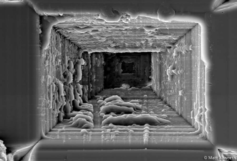 44 Electron Microscope Images That Bring The Invisible To Life