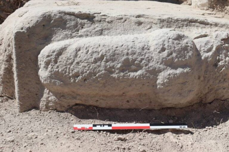 'Unusually Large' Roman Phallus Carving Uncovered In Spain