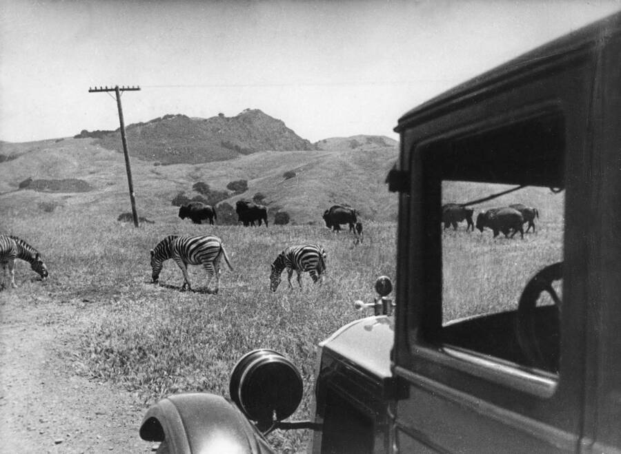 33 Photos Of Hearst Castle That Reveal Its Grand History