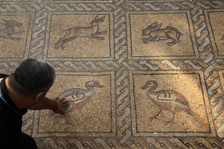Farmer Unearths Byzantine Mosaic In His Gaza Olive Orchard