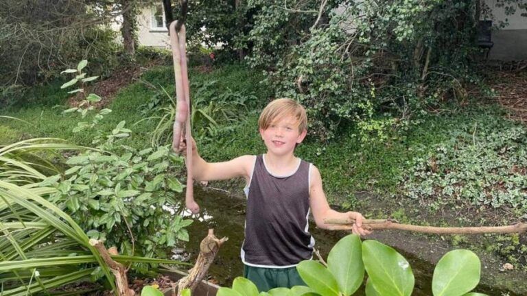 'Stuff Of Nightmares': 9-Year-Old Boy Finds Three-Foot-Long Worm