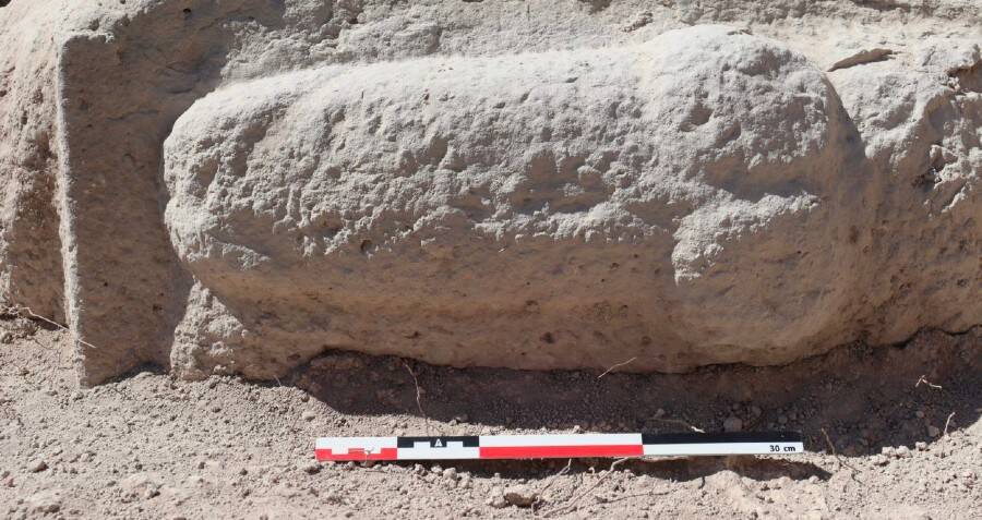 'Unusually Large' Roman Phallus Carving Uncovered In Spain