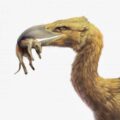 Meet The Terror Bird, The Prehistoric Predator Of Your Nightmares