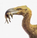 Meet The Terror Bird, The Prehistoric Predator Of Your Nightmares