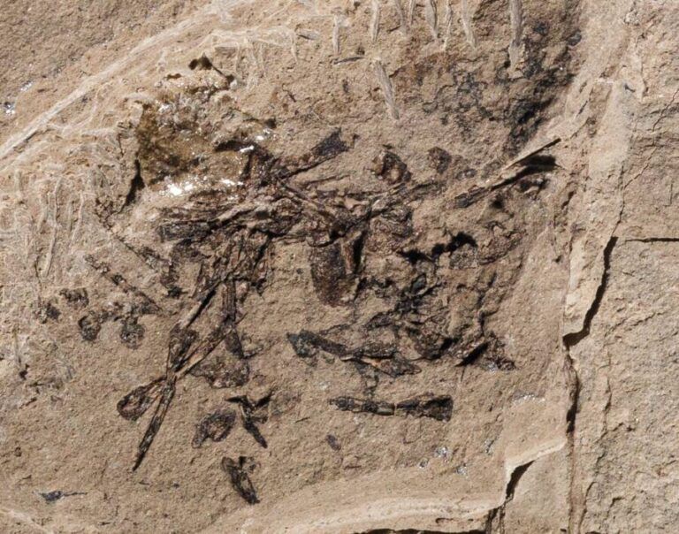 This Week In History News, Sept. 11 - 17