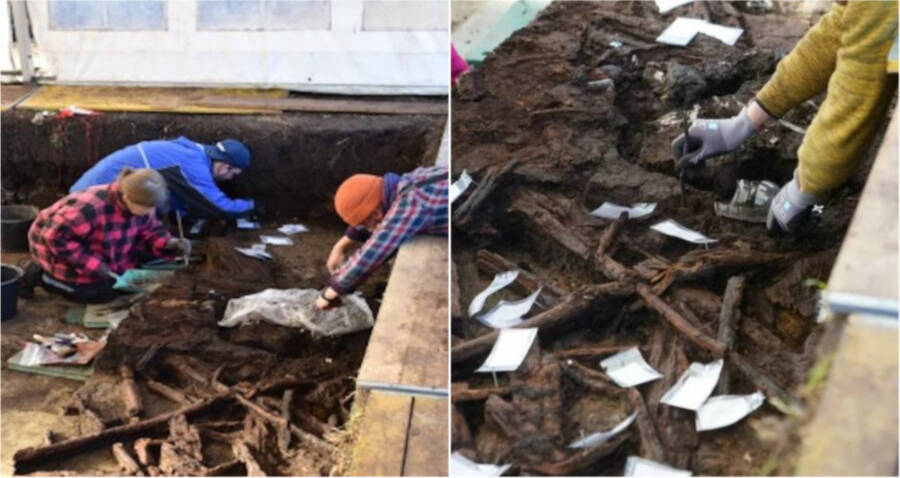10,500-Year-Old Human Bones Found In German Bog