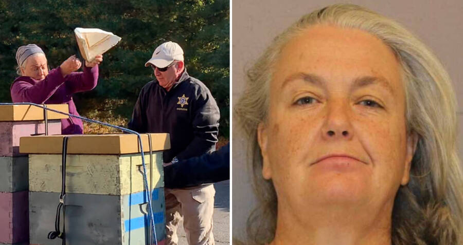 Kaleena Fraga - All That's Interesting