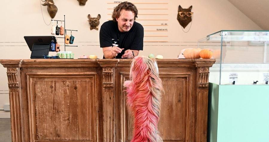 Fine Dining Restaurant For Dogs Opens In San Francisco