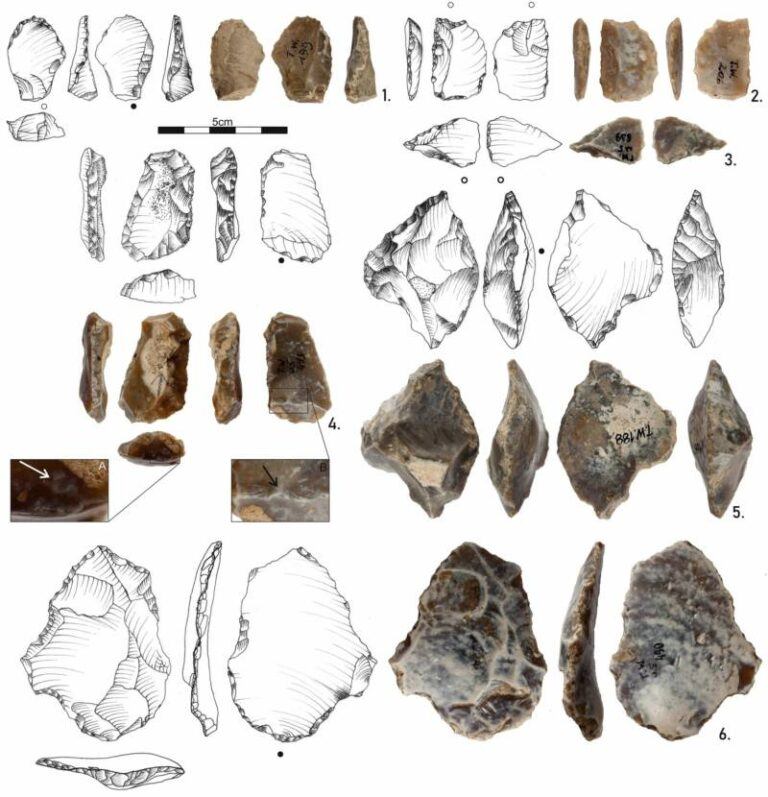 Researchers Discover 500,000-Year-Old Flint Tools In Polish Cave