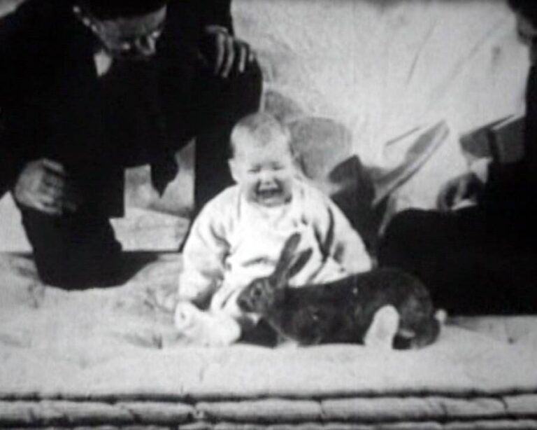 The Little Albert Experiment And The Chilling Story Behind It