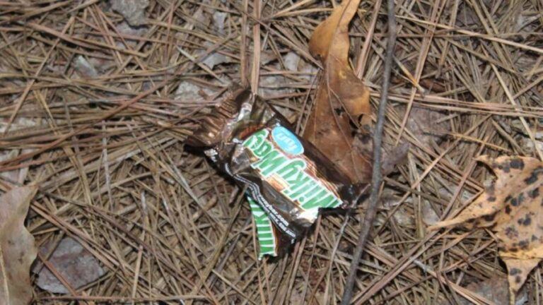 Trail Of Candy Wrappers Lead Police To Burglary Suspects