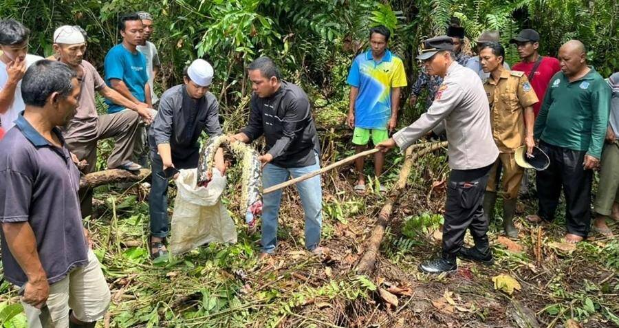 Missing Grandma's Body Found Inside Massive 22-Foot Python