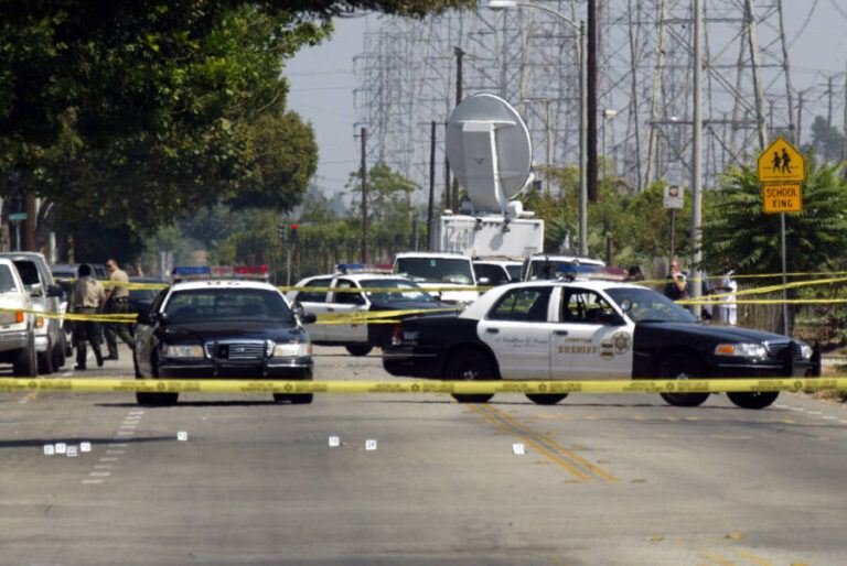 Yetunde Price, The Murdered Sister Of Venus And Serena Williams