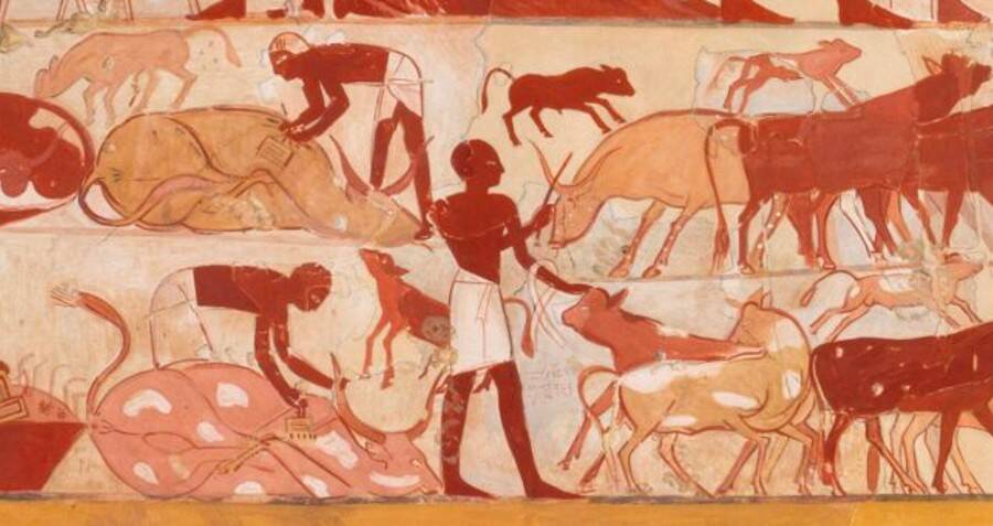 Ancient Egyptians May Have Branded Enslaved People