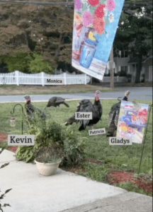 A Troop Of Turkeys Has Been Terrorizing A Massachusetts Town