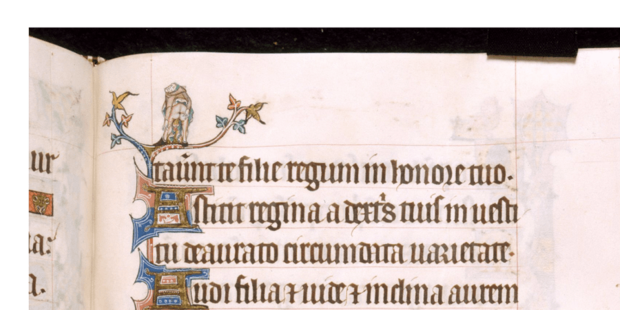 37 Surprisingly Raunchy Images From Medieval Manuscripts