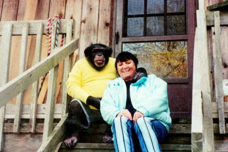 Charla Nash, The Woman Who Lost Her Face To Travis The Chimp
