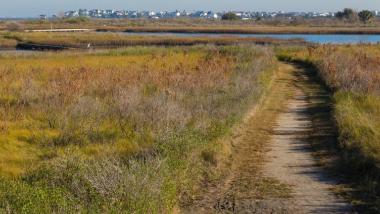 Inside The Texas Killing Fields And Their Blood-Soaked History