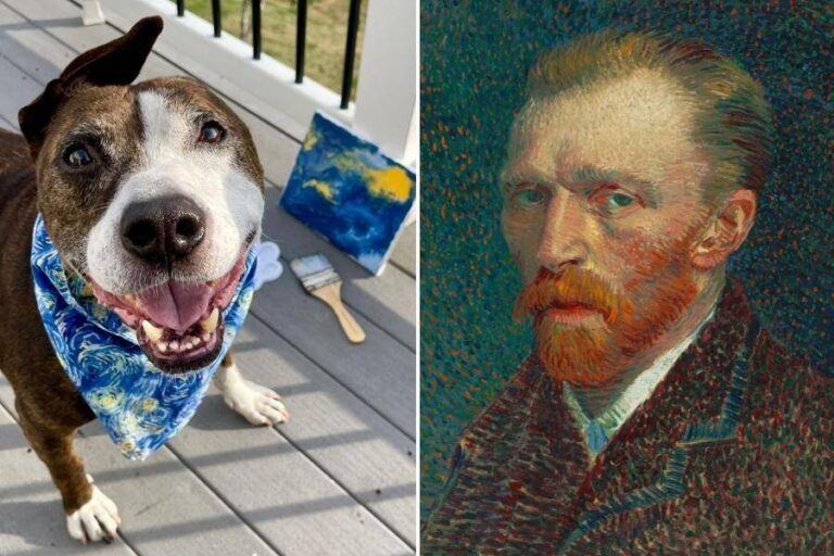 Meet 'Van Gogh,' The One-Eared Dog Who Paints With His Tongue