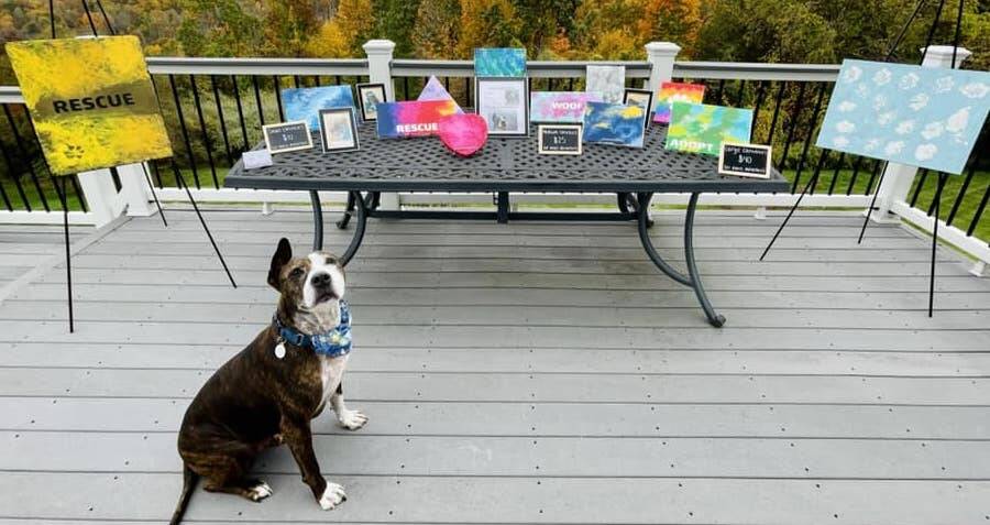 Meet 'Van Gogh,' The One-Eared Dog Who Paints With His Tongue