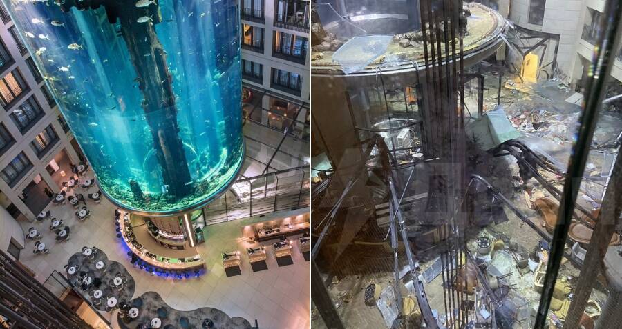 Large Aquarium Bursts In Berlin, Spilling 1,500 Fish Onto Street