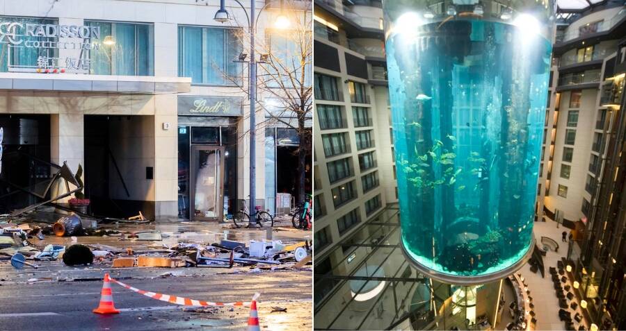 Large Aquarium Bursts In Berlin, Spilling 1,500 Fish Onto Street