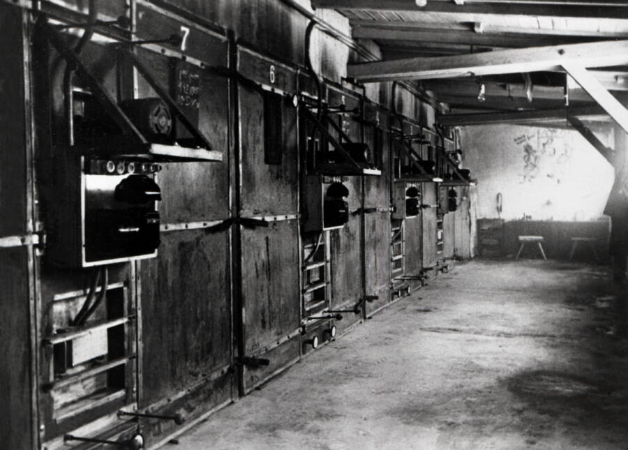 The Liberation Of Auschwitz, The Nazis' Deadliest Concentration Camp