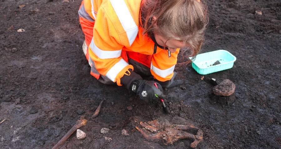 5,000-Year-Old Danish 'Bog Body' May Have Been Sacrificed