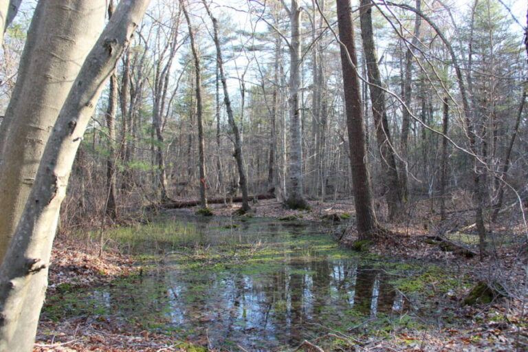 The Bridgewater Triangle, Massachusetts' Paranormal Hotspot