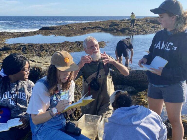 Scientists Find 'Extinct' Translucent Clam On California Beach