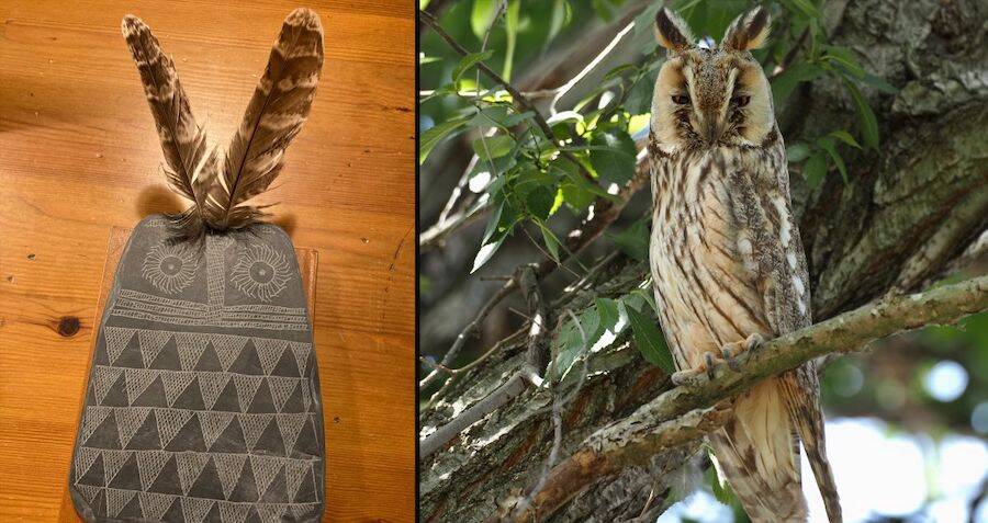 Copper Age Owl Carvings May Have Been Made By Children