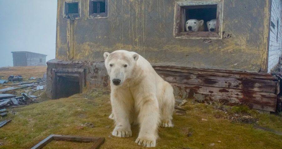 11 Of The Craziest Weird News Stories From 2022