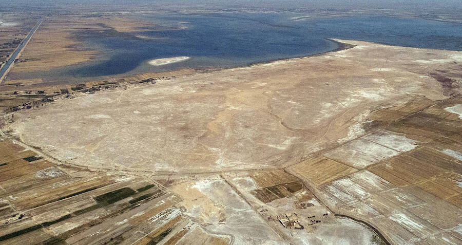 This Week In History News, Feb. 5 - 11