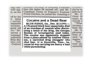 How A Bear Overdosed On Cocaine In 1985 And Inspired The Movie 'Cocaine ...