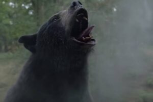 How A Bear Overdosed On Cocaine In 1985 And Inspired The Movie 'Cocaine ...