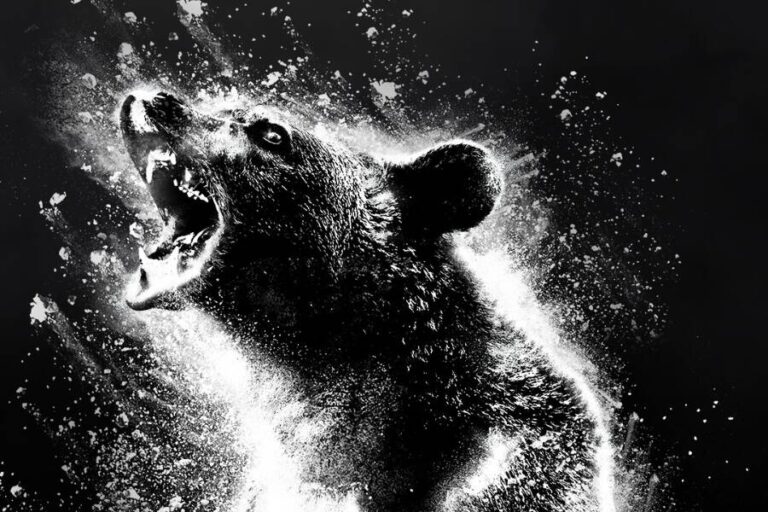 How A Bear Overdosed On Cocaine In 1985 And Inspired The Movie 'Cocaine ...