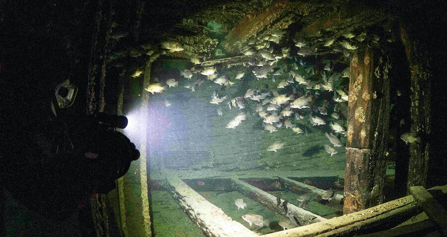 This Week In History News, Jan. 29 - Feb. 4