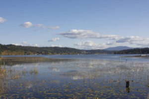 The Disturbing Story Of Wife Killer Randy Roth