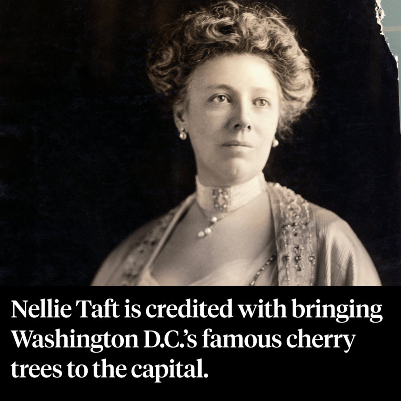 37 Facts About America's First Ladies That You Didn't Know