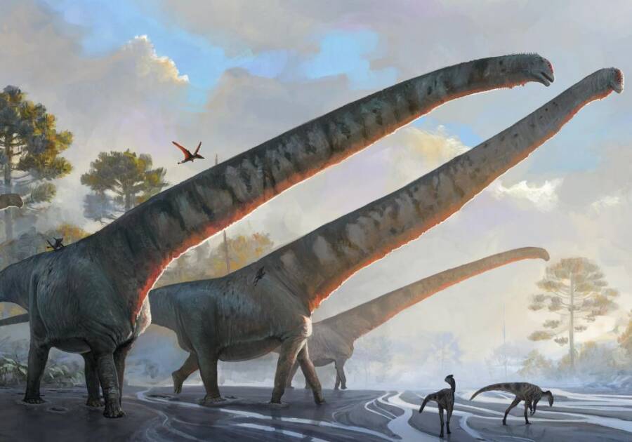 Researchers Identify The Dinosaur With The Longest Neck Researchers Identify The Dinosaur With The Longest Neck