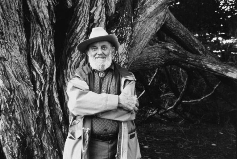55 Ansel Adams Photographs That Capture American Nature And Life