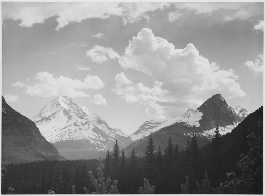 55 Ansel Adams Photographs That Capture American Nature And Life