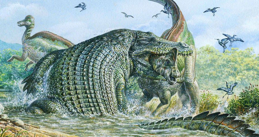 Scientists Discover Footprints Older Than The Dinosaurs