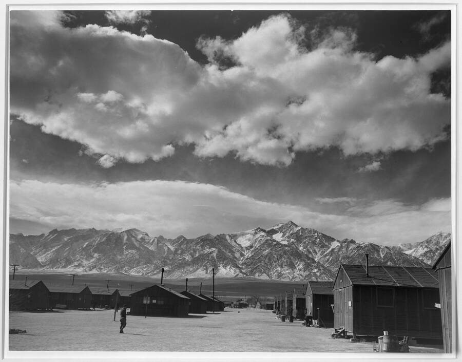 55 Ansel Adams Photographs That Capture American Nature And Life