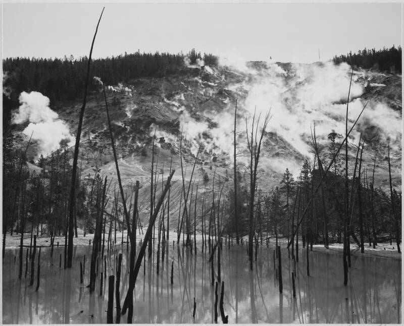 55 Ansel Adams Photographs That Capture American Nature And Life