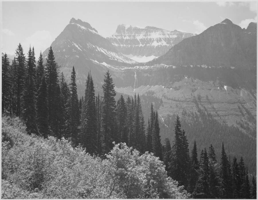 55 Ansel Adams Photographs That Capture American Nature And Life