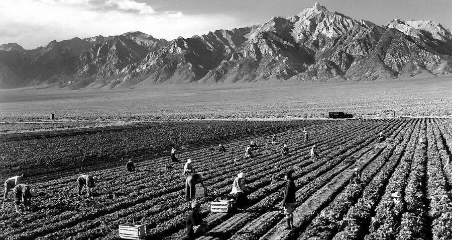 55 Ansel Adams Photographs That Capture American Nature And Life