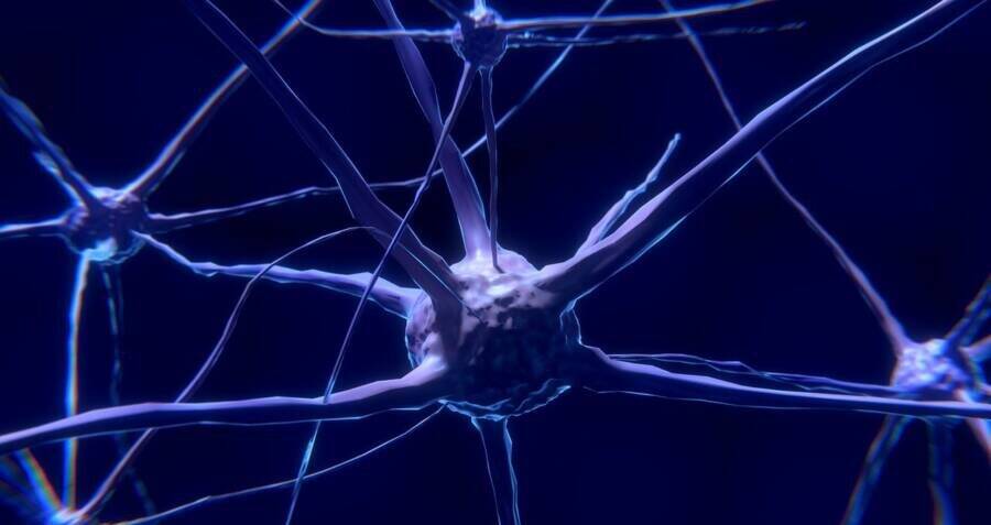 Man With Alzheimer's Experiences Real Life 'Groundhog Day'